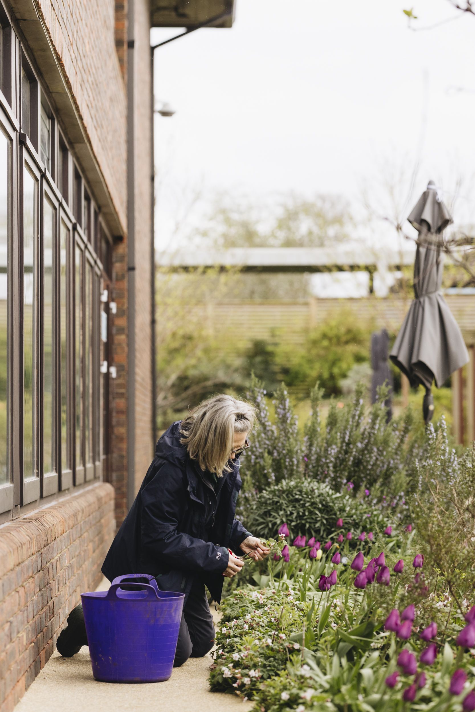 Career Opportunity: Head Gardener, Horatio's Garden London & South East ...